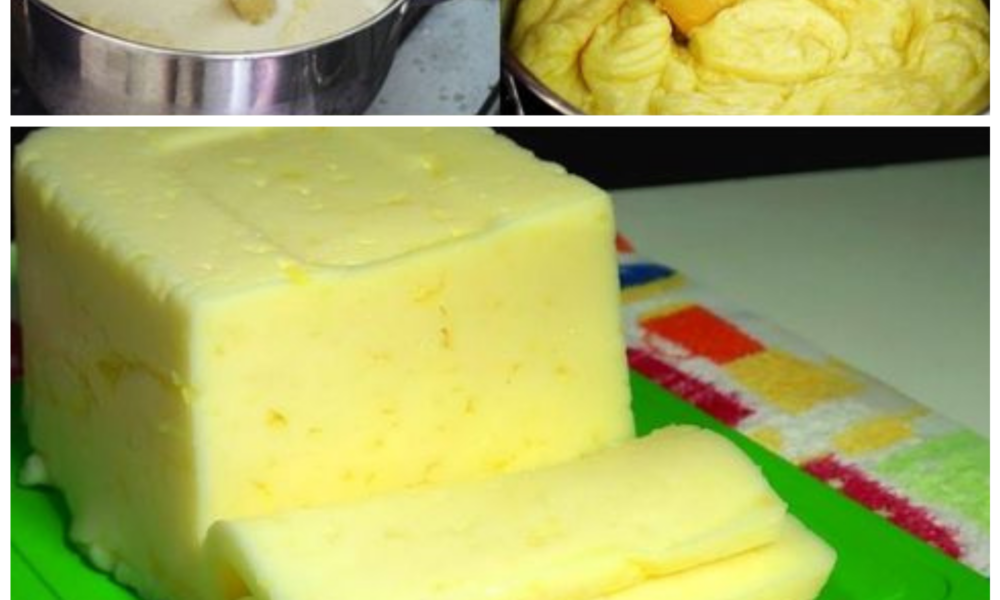 Homemade Mozzarella Cheese Recipe